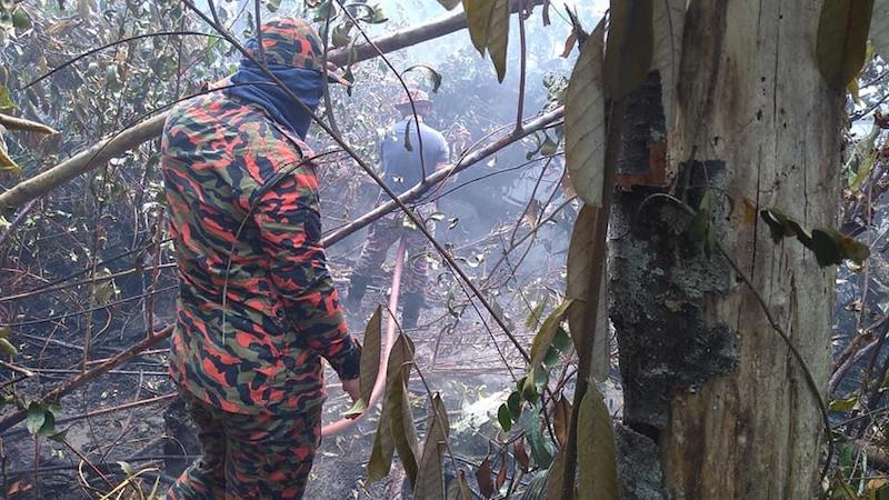 A total of 124 wildfire cases in Sarawak since September | DayakDaily