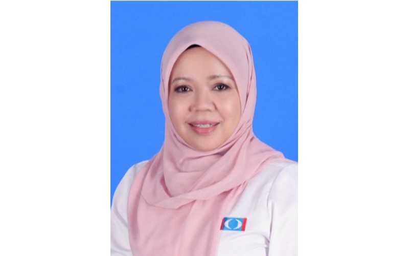 PKR Sibuti chief: Rafizi’s Malaysia Day message states reality of what ...