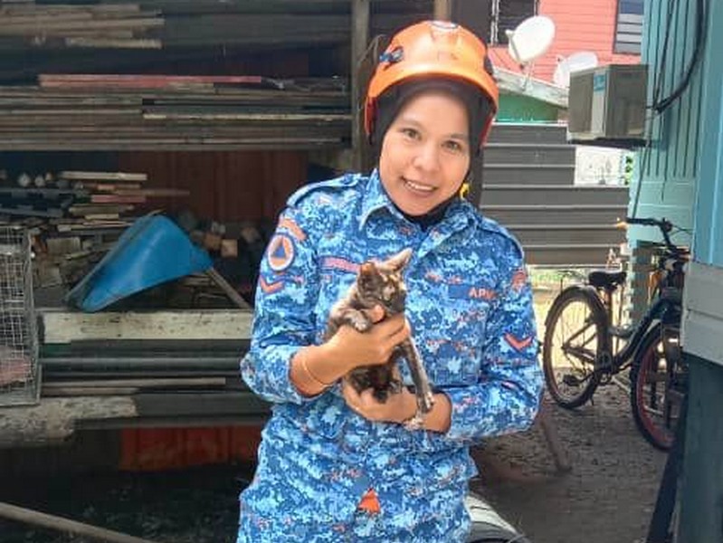 Miri APM comes to rescue of kitten trapped in ceiling space | DayakDaily