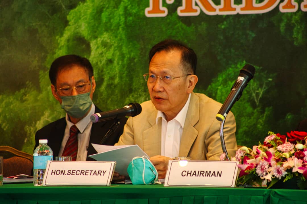 Timber industry: Kelampayan tree clone to undergo field trials soon as ...