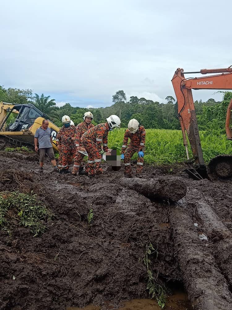 Pemandu jengkaut cedera dilibas kayu | DayakDaily