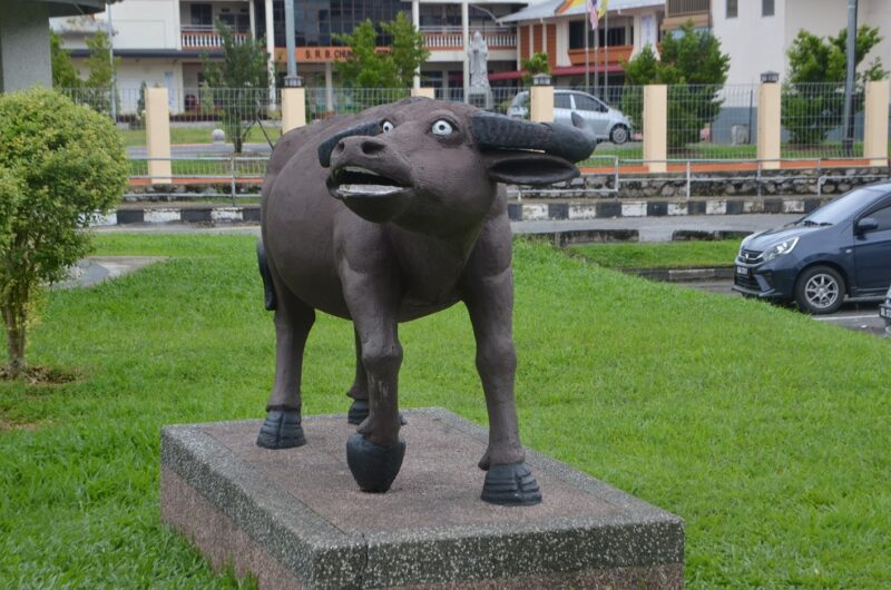 The story behind Serian town’s water buffalo statue with unique facial ...