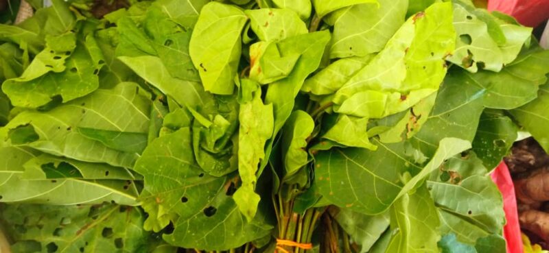 Whet your appetite with fresh fruity-scented ‘daun singkil’ | DayakDaily