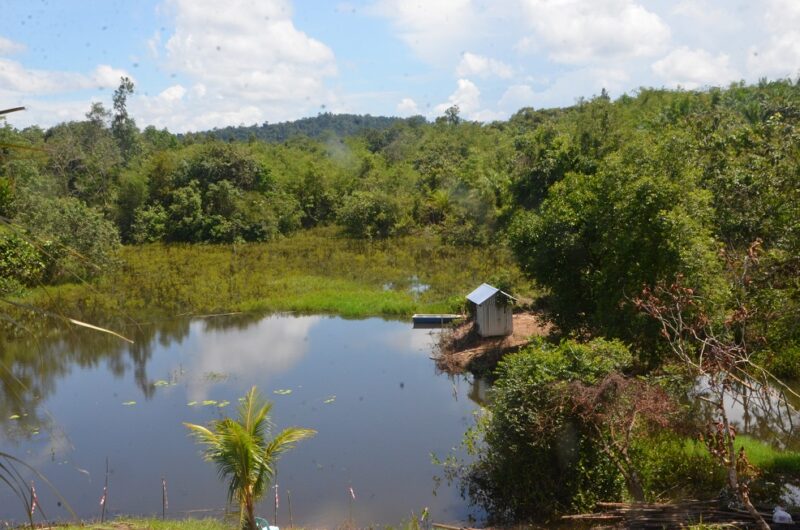 Otong Ni-ee in Bidayuh heartland hidden gem for anglers | DayakDaily